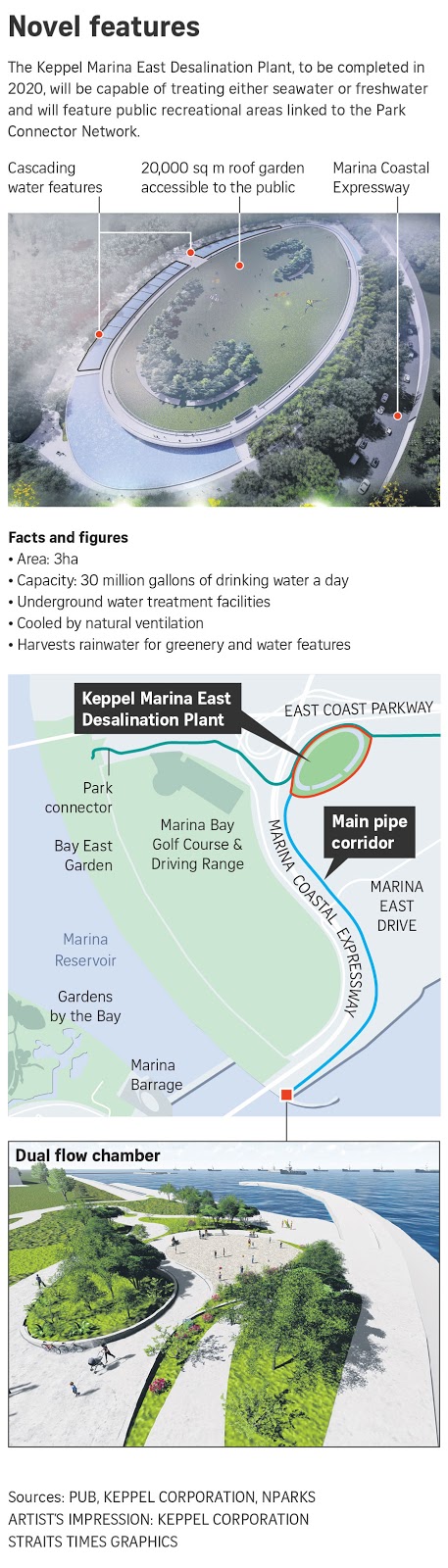 If Only Singaporeans Stopped to Think: World’s first large-scale ...