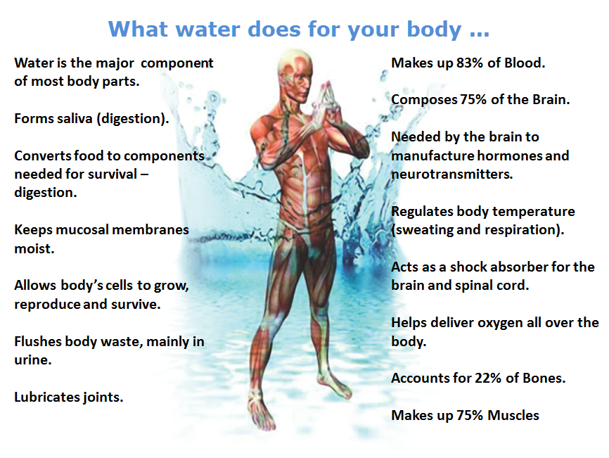 Simple Way For Fitness