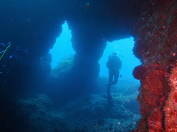 Best Spot Azores PADI 5* Dive Center: Scuba Diving Ponta Delgada Azores
