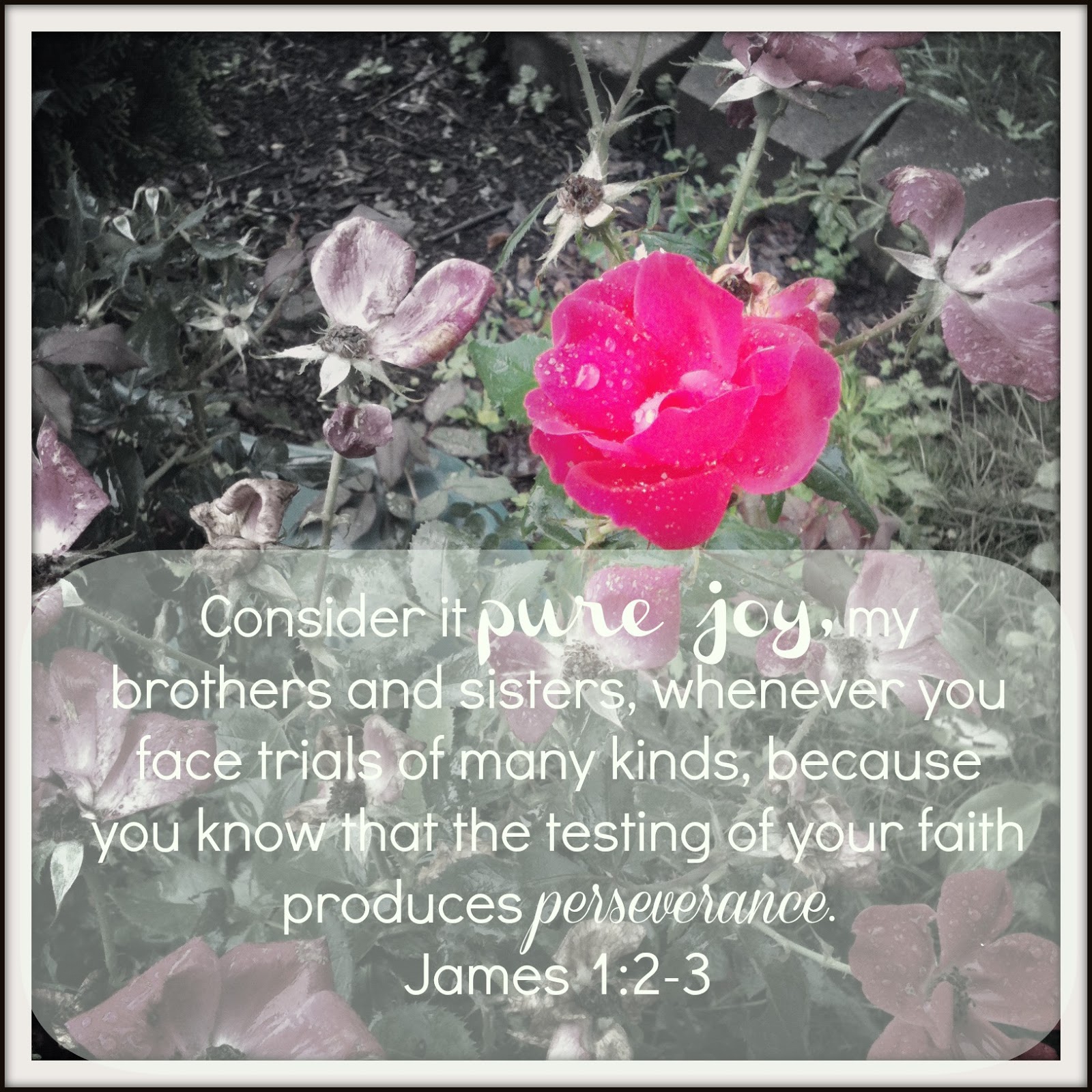 Joy Comes in the Morning… – Simply Living for Him