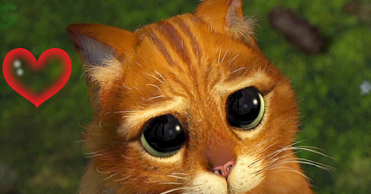 🍁💭💜💭🍁 Las mejores frases y citas sobre el perdón y perdonar 🍁💭💜💭🍁 ...