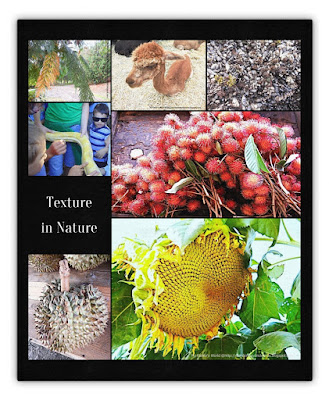 Texture in Nature Collage