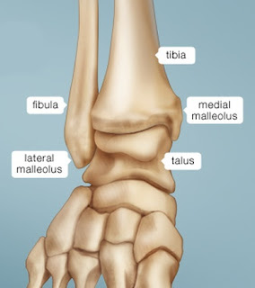 Technical Tuesday Malleoli