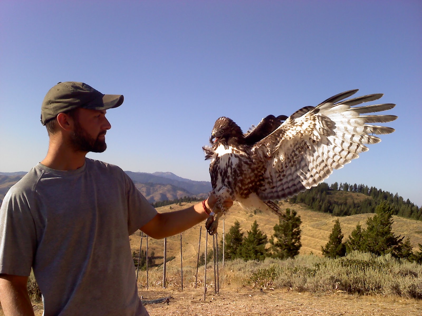 Stueby's Outdoor Journal: Nice weekend to head to Lucky Peak summit ...