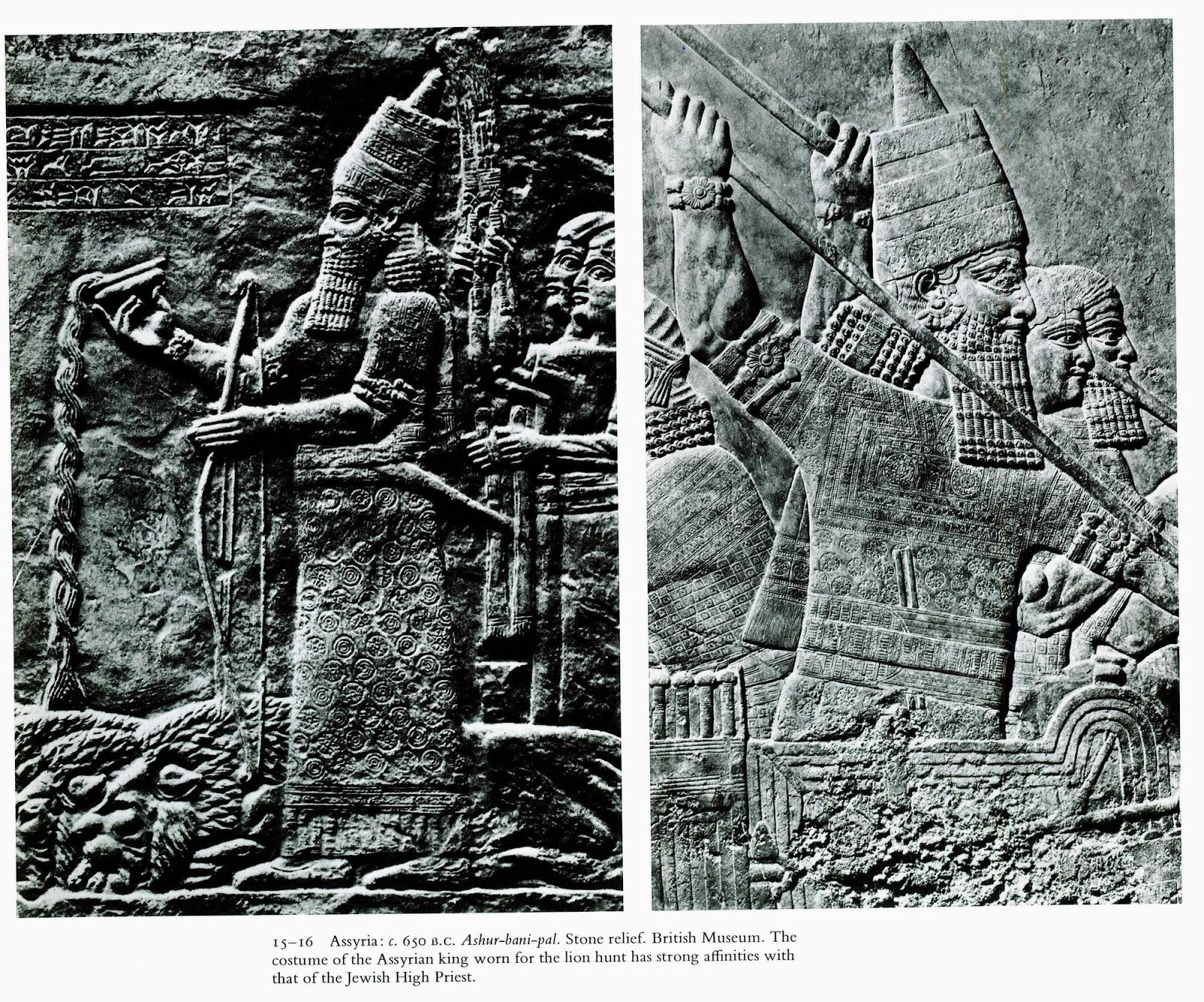 The Philippi Collection: January 2011