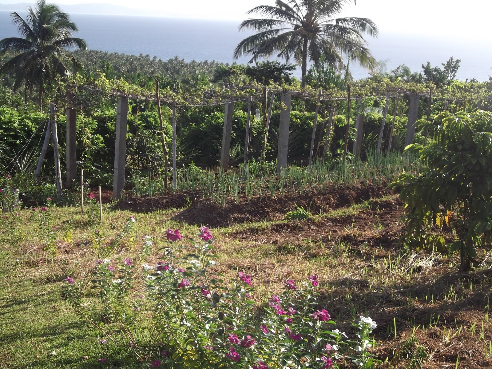 Canaan Hills Farms and Honey Garden