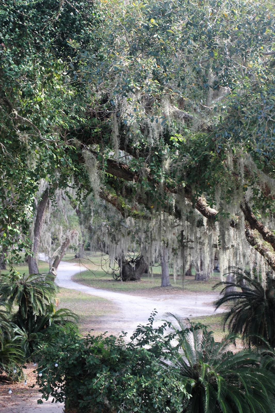Romancing the Home: The Greyfield Inn on Cumberland Island