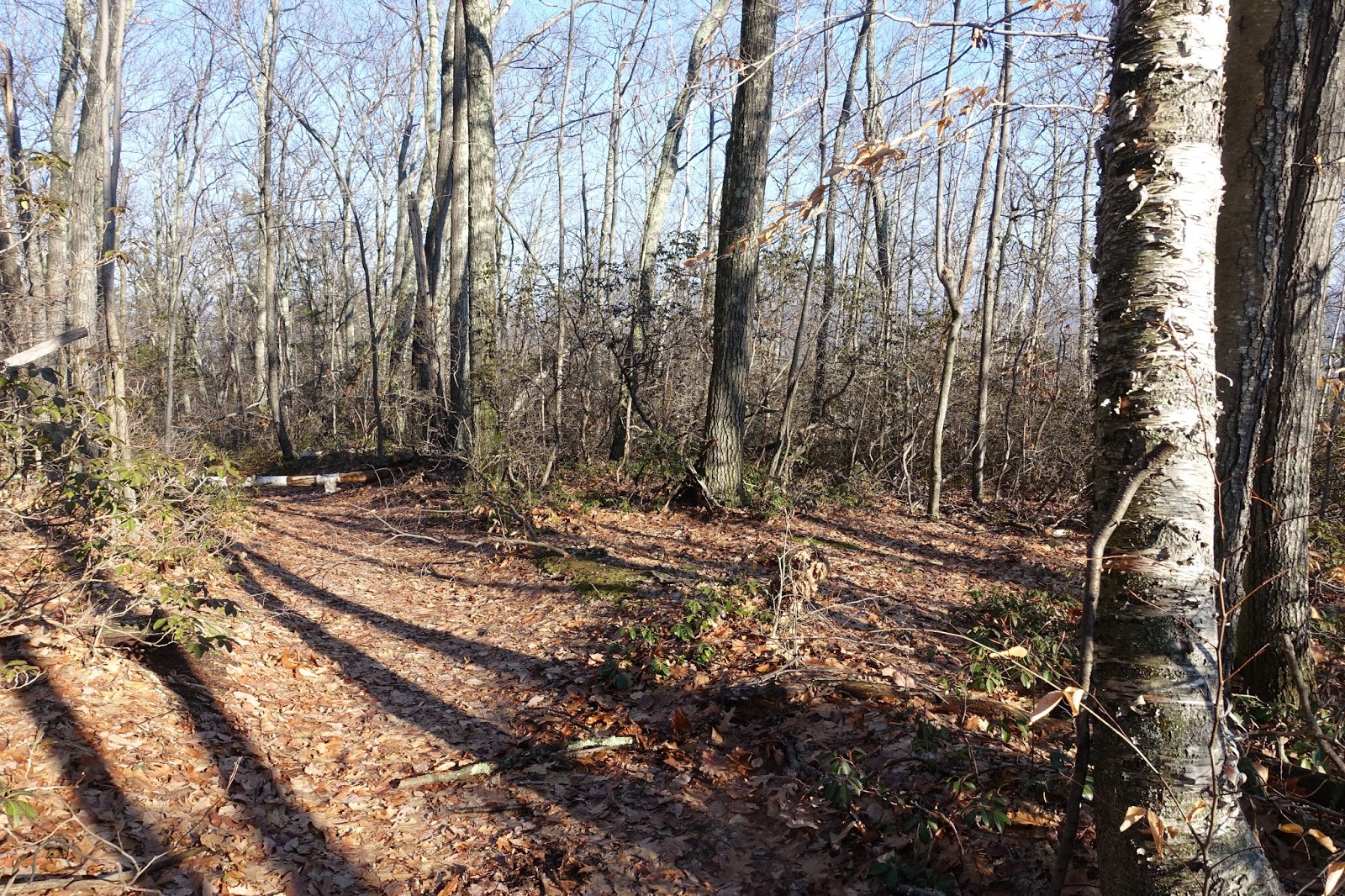 Of Rock & Riffle: A Monumental Mid-Winter's Day in a Deep, Dark Ravine