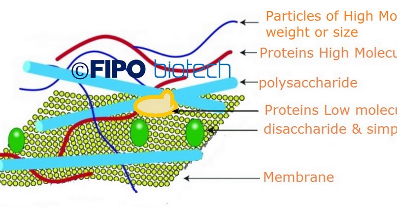 FIPO BIOTECH soluciones innovadoras