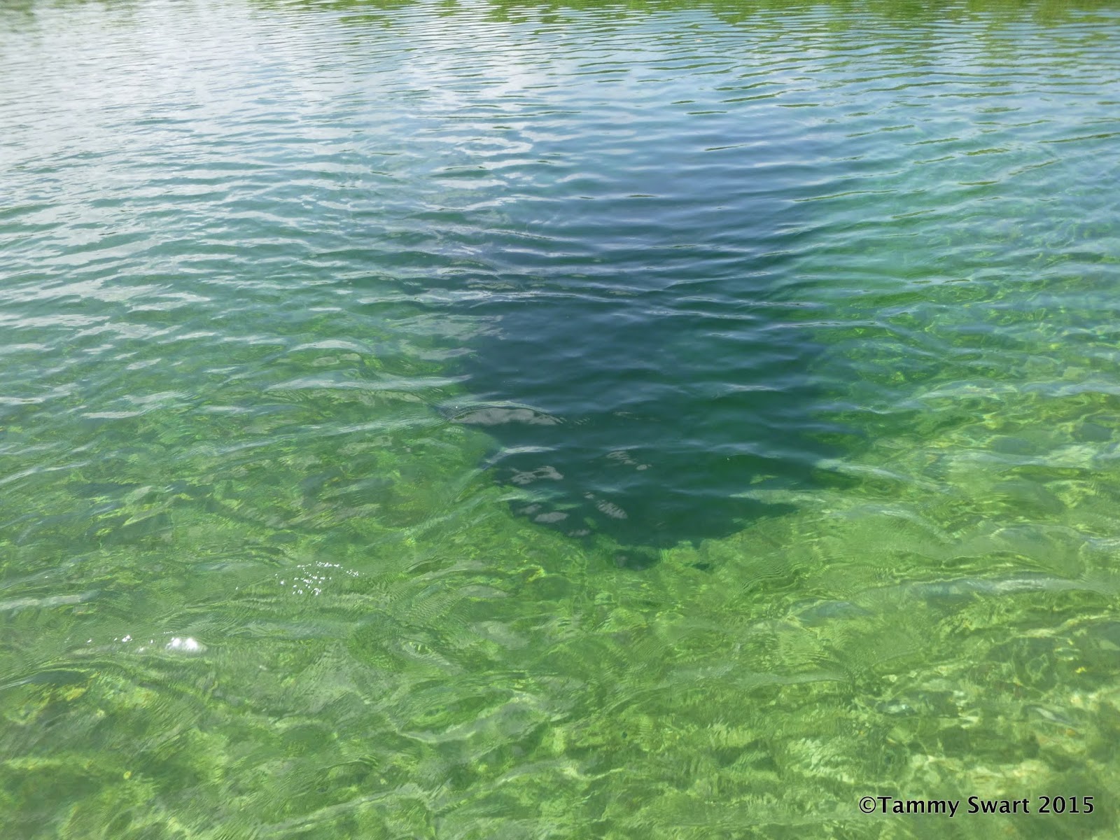 Things we did today...: Time and Tides Wait For No Man