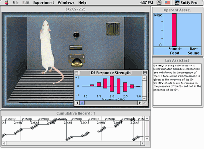 Sniffy, the Virtual Rat (Sniffy, la Rata Virtual)