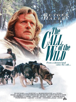 beyazyelkenli denize açıldı: The Call of the Wild / Jack London