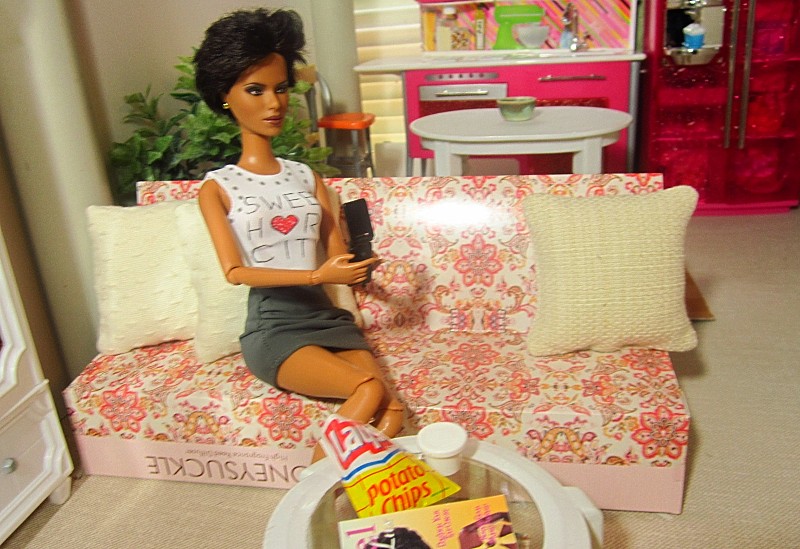 Fashion Dolls at Van's Doll Treasures: Halle Moves to a New Condo