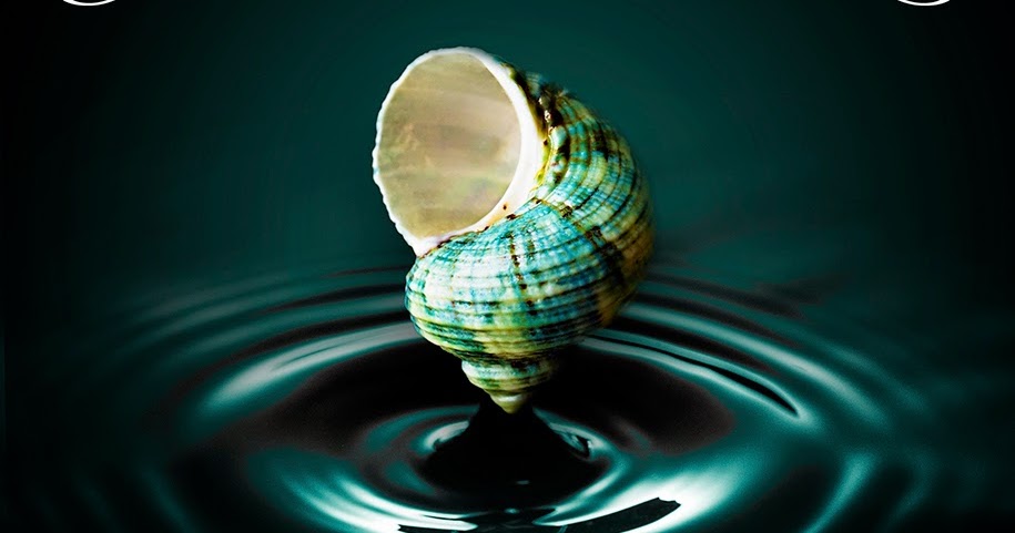 KISS THE BOOK: Atlantia by Ally Condie - ADVISABLE