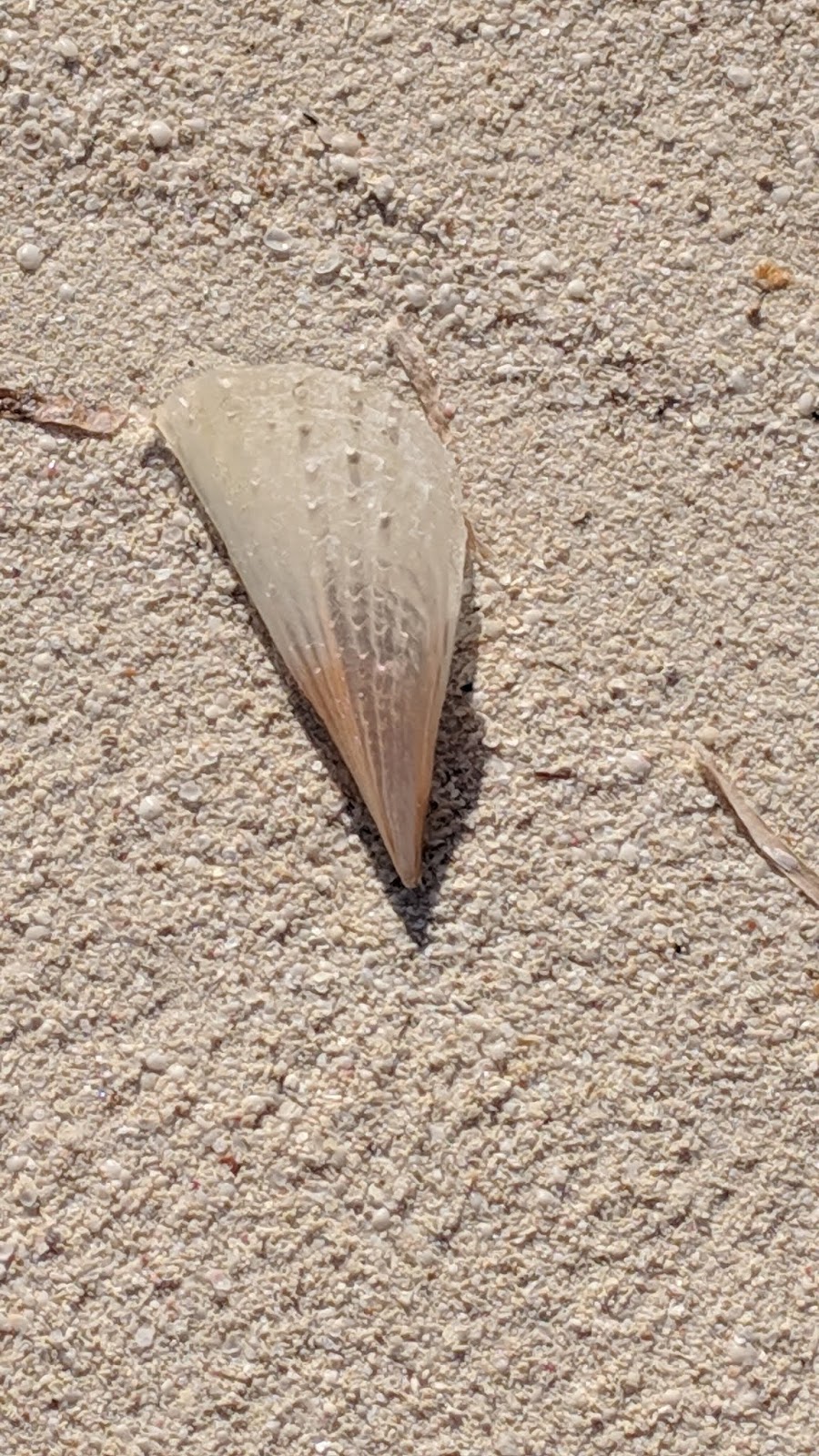 Bonds Cay, Berry Islands, Bahamas