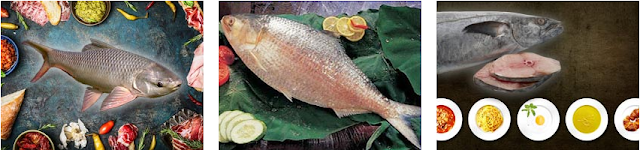 Fresh and Flavorsome Surmai Fish Online