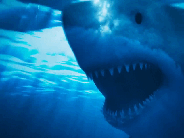 CINE PARA TODOS LOS GUSTOS: DEEP BLUE SEA 2 -GIFS-2018-Terror