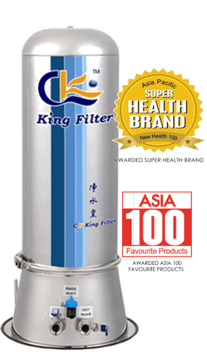 CK King Outdoor Water Filter