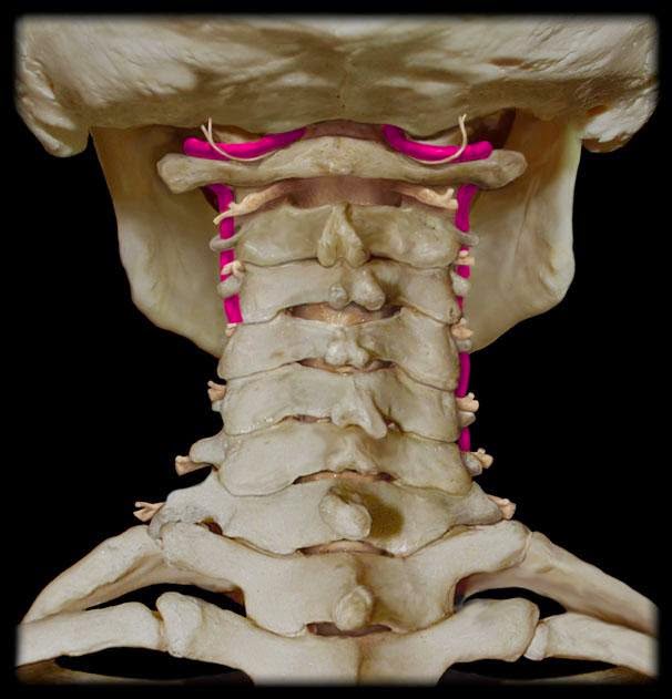 ...but maybe tomorrow: C1 Nerve Root Block
