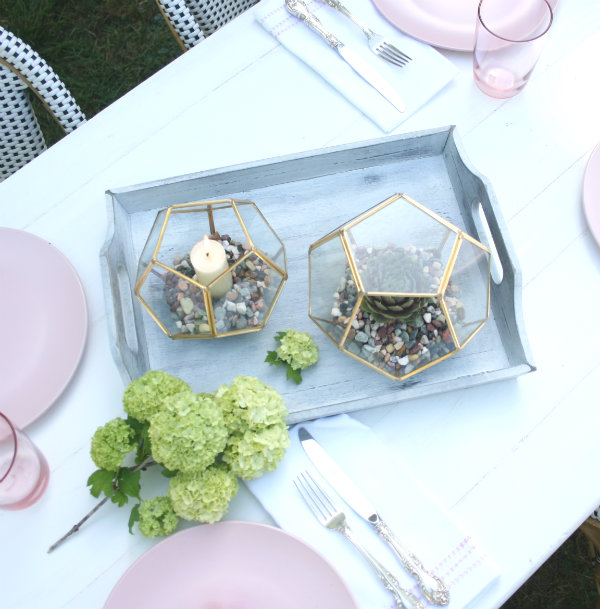 ciao! newport beach: my favorite terrariums