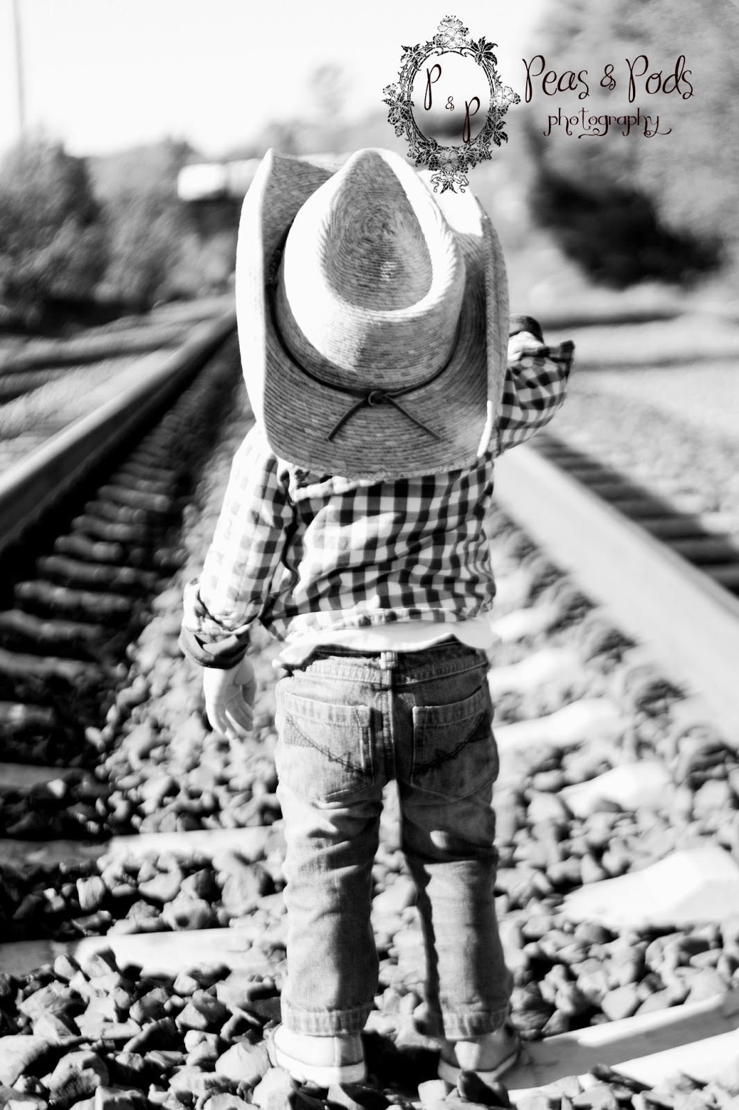 Peas and Pods Photography: Some Highlights