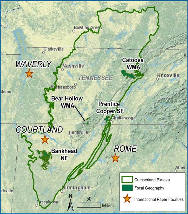 Cumberland Gal: How to Find Waterfalls Part 4 -Waterfalls of the ...