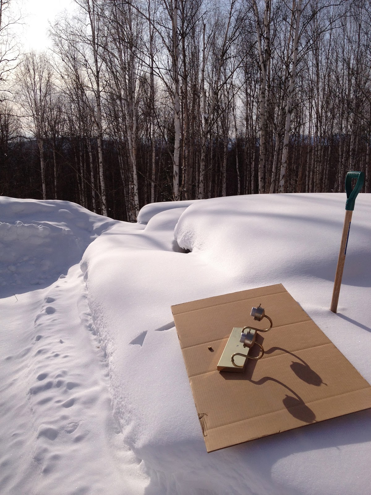 650 square feet: Dad's Arctic Entryway Before & After