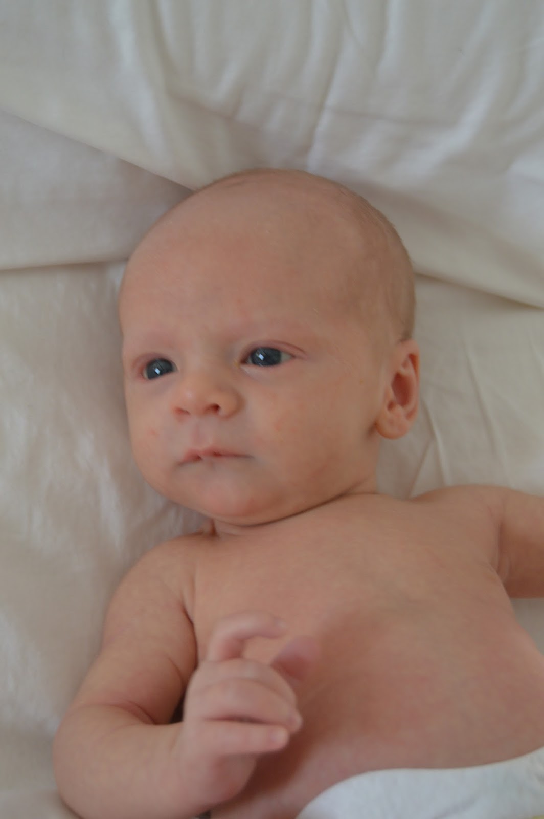 Loving Naomi Kathleen