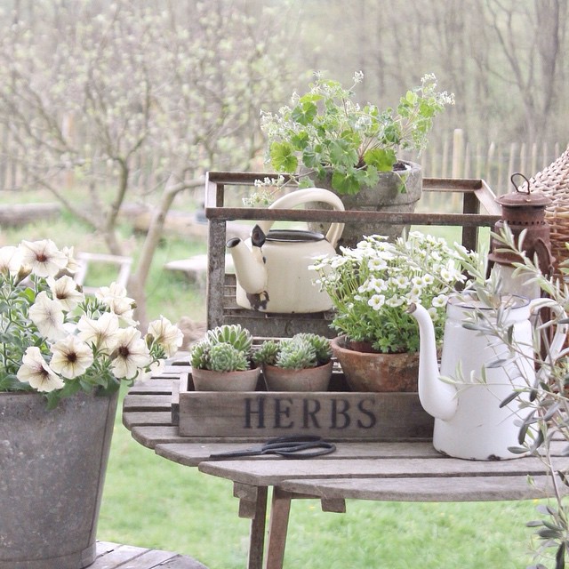 Rustic Summer Flower Arrangements