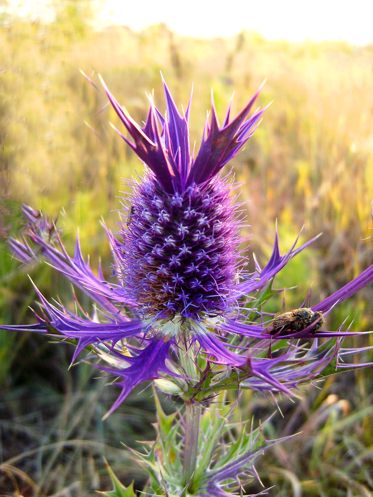 12Tribes: Cycles of Worship - Part 2 + Sneak Peek Friday