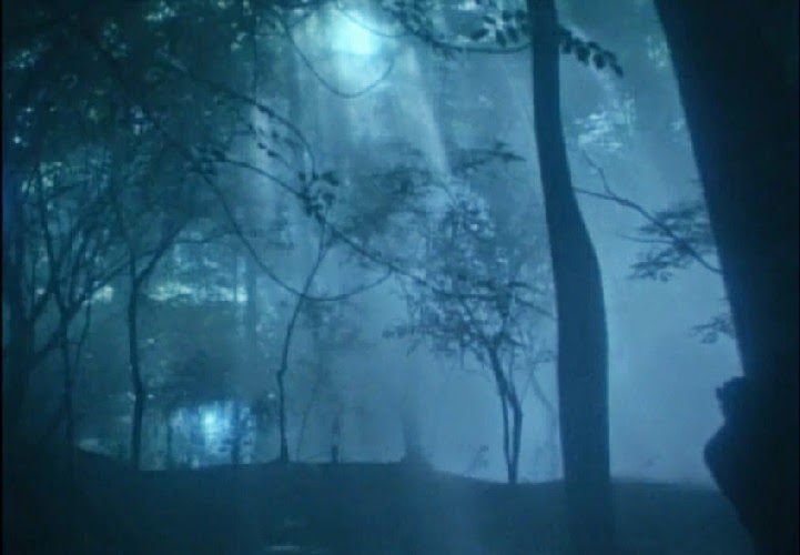 The Bloody Pit of Horror: Howling IV: The Original Nightmare (1988)