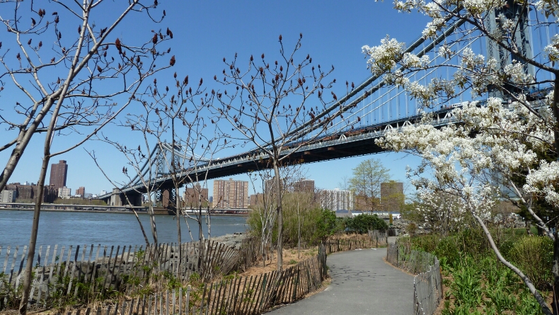 Next Stop: Brooklyn!