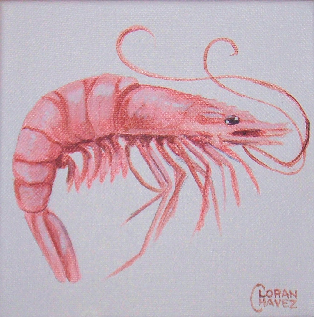 Coastal Art ~ Loran Chavez: Shrimp