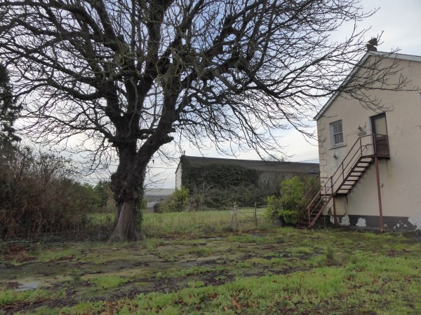 Listowel Connection: A Tan song, Listowel Convent now and some more ...