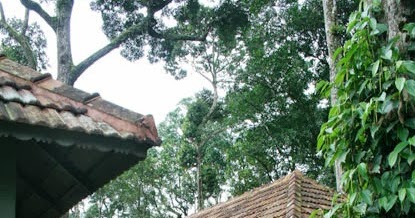 Cardamom Hill Cottages Munnar | Cardamom Cottage Munnar | Resort Inside ...