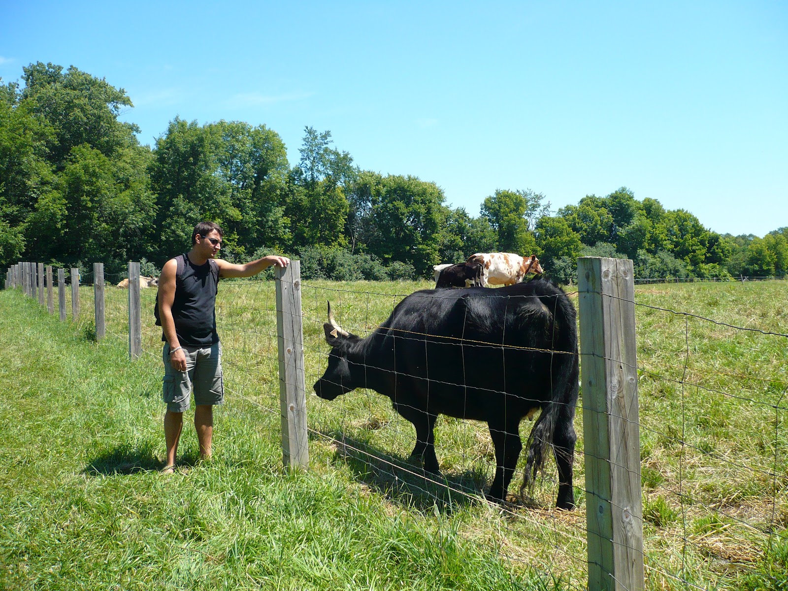 CANADA, trois petits points: Parc nature Cap St Jacques & Ile Bizard