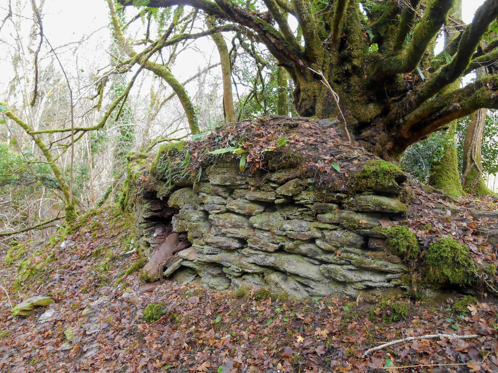 Off the Beaten Track in Somerset: The Lost Village of Clicket