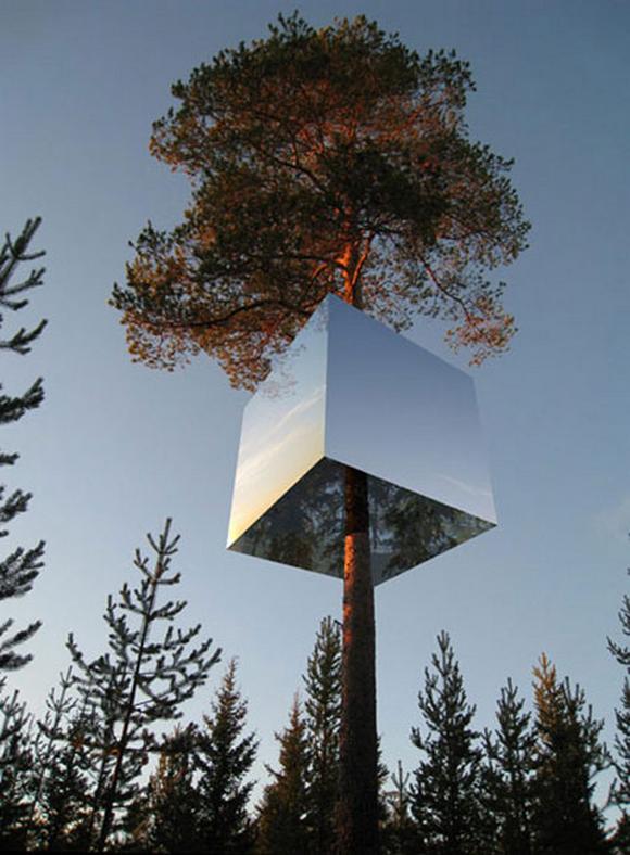 Relaxshacks.com: An "invisible" treehouse/treehome hotel- and/or a ...