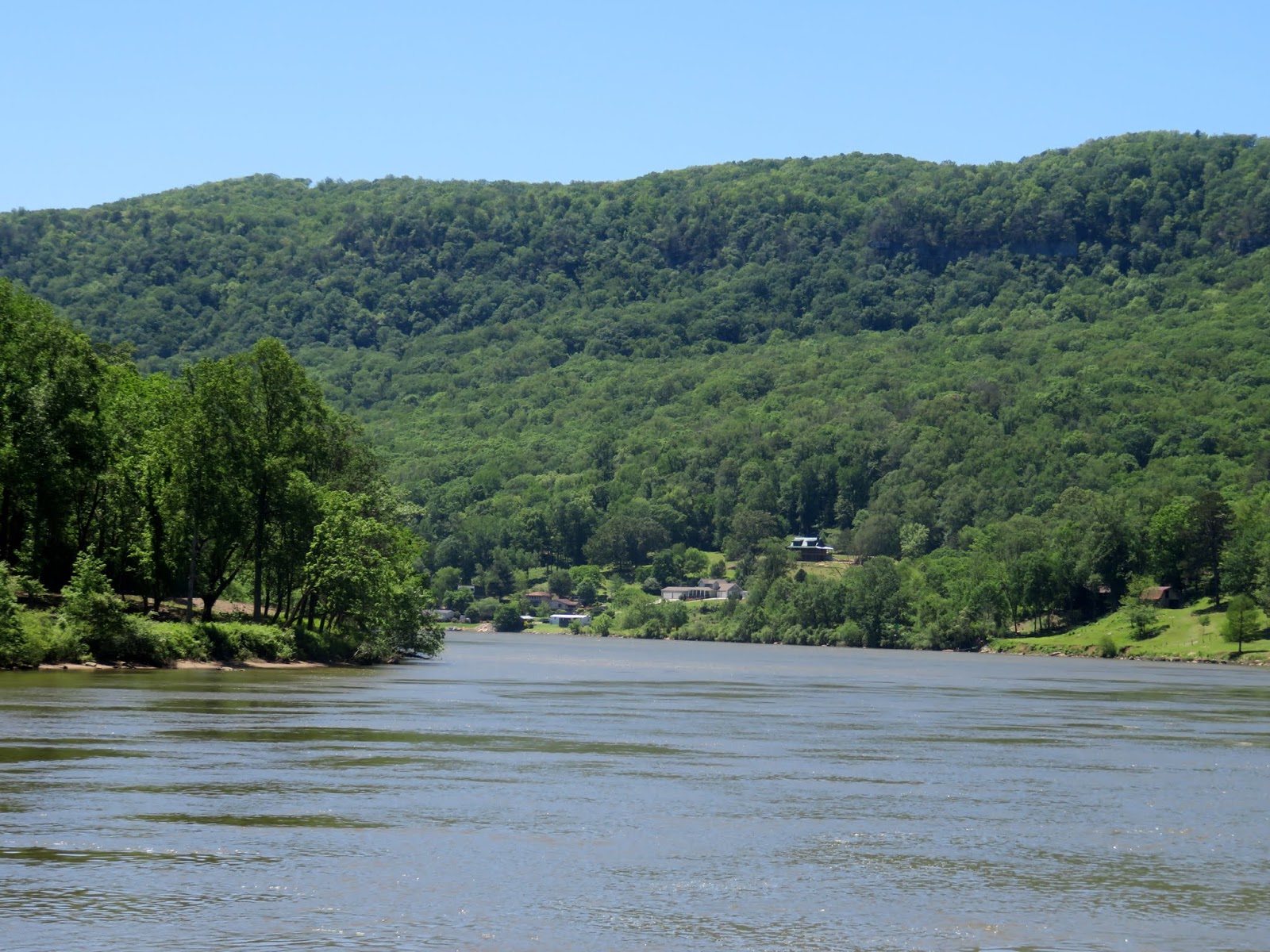 Big Daddy Dave: Cruising the Tennessee River!