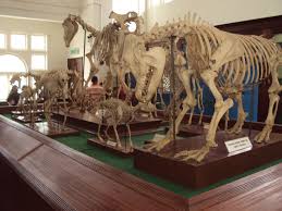 MyRokan: Perak Museum, Taiping The Oldest Museum in Malaysia