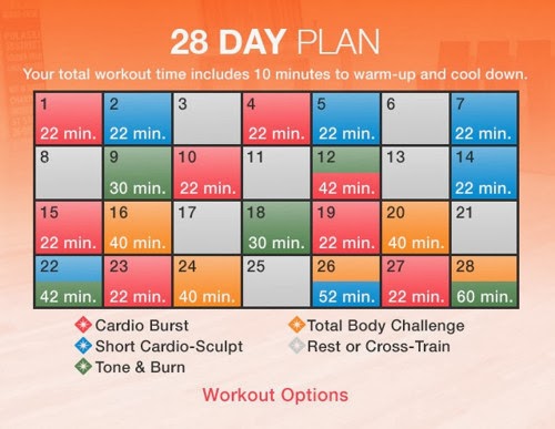 Workout, Excercise, Cardio, Dance and Fitness: 28 Days Workout Plan ...