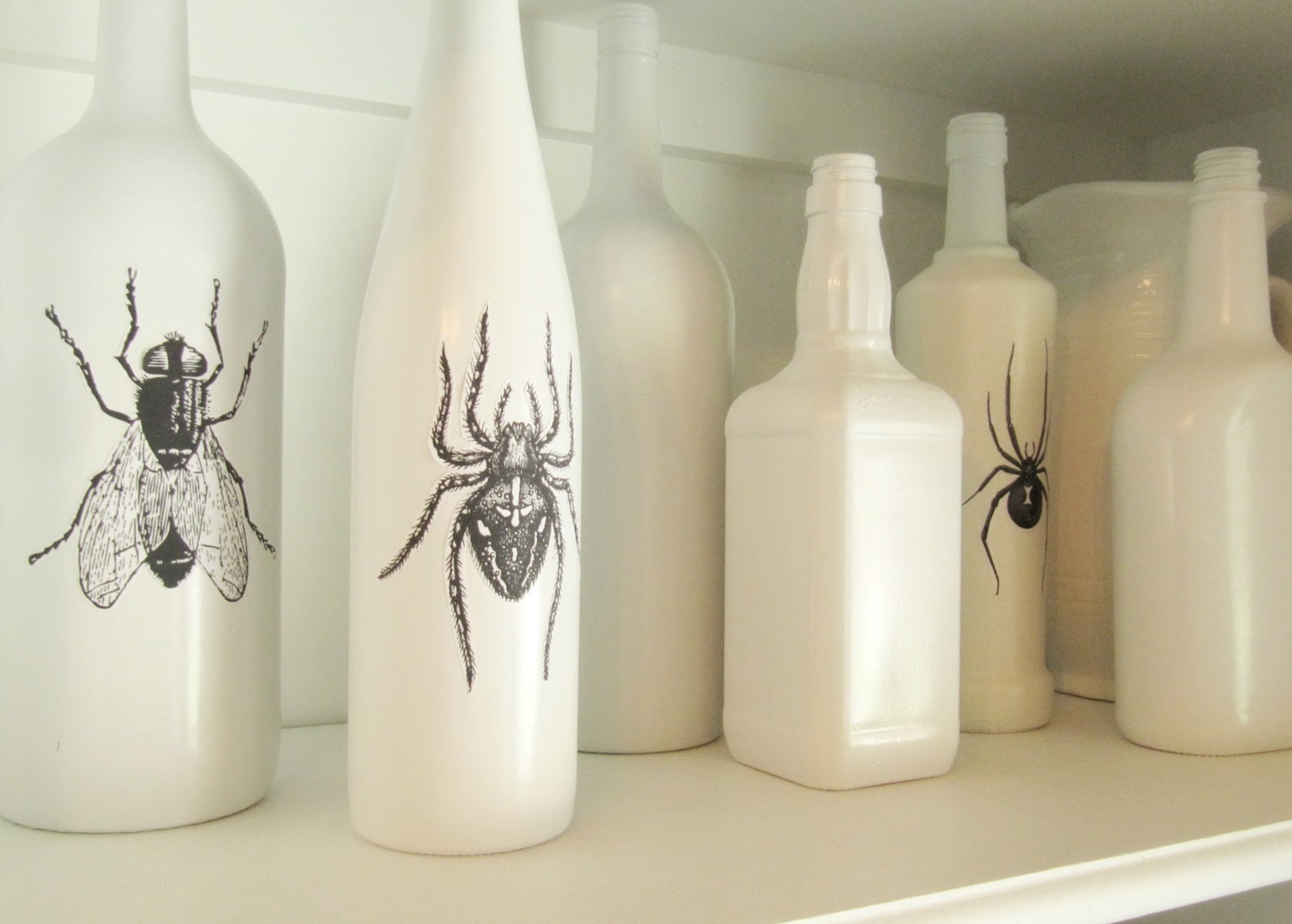 Bug Bottles The Wicker House