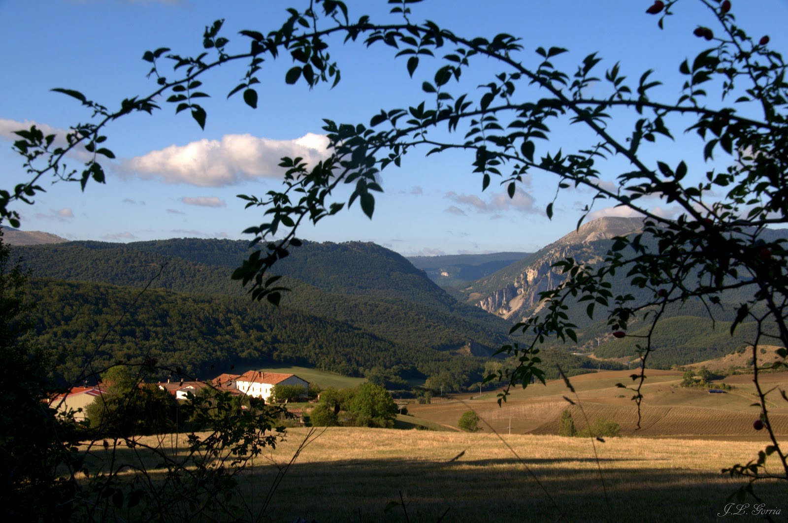 J.L.Gorria: Paseando por Larumbe