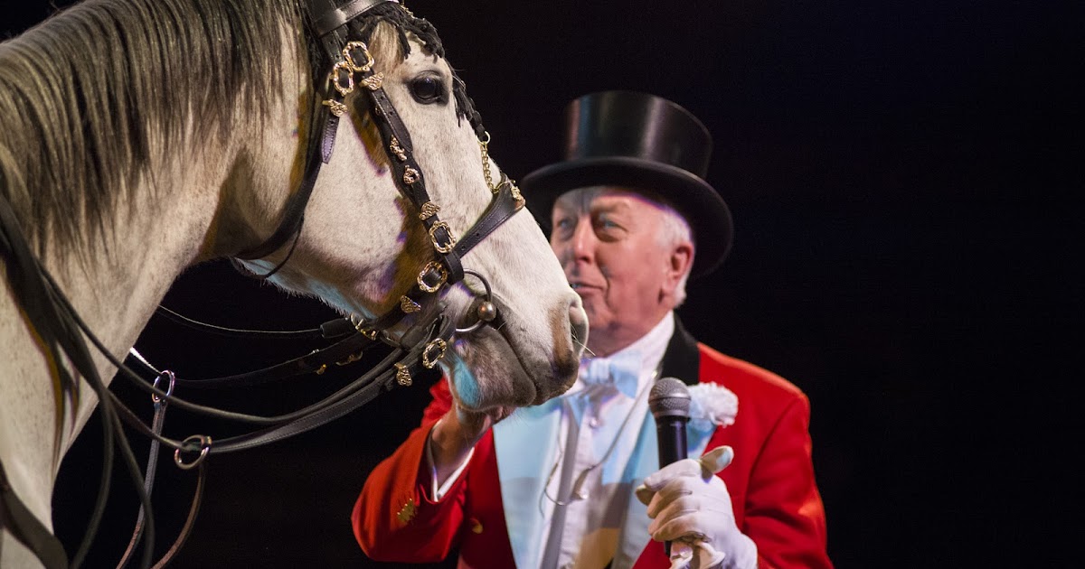 Circus Mania: World Circus Day - But how do you define circus?