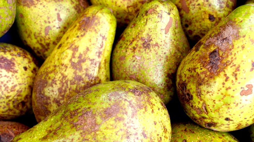 Frutas típicas del Chocó
