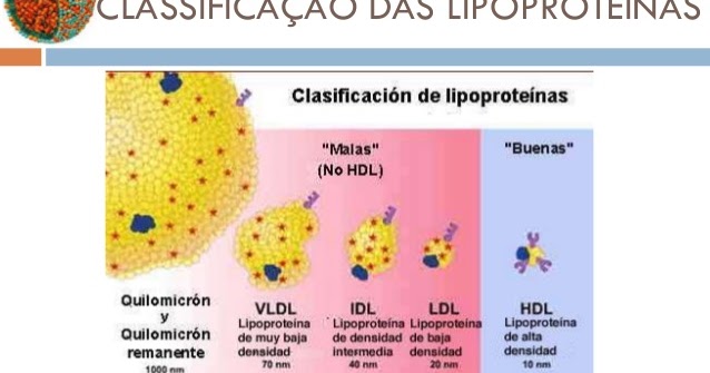 Lipídeos: Lipoproteínas Plasmáticas