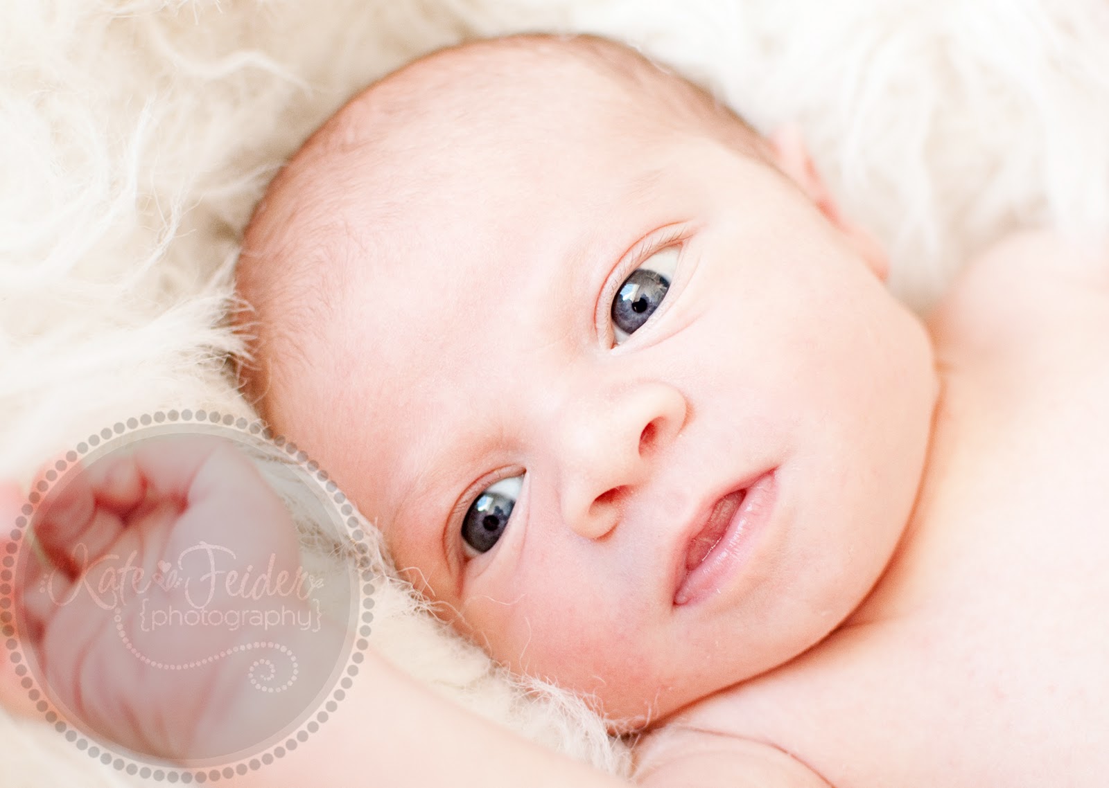 KFP Client Gallery: Newborn Jet