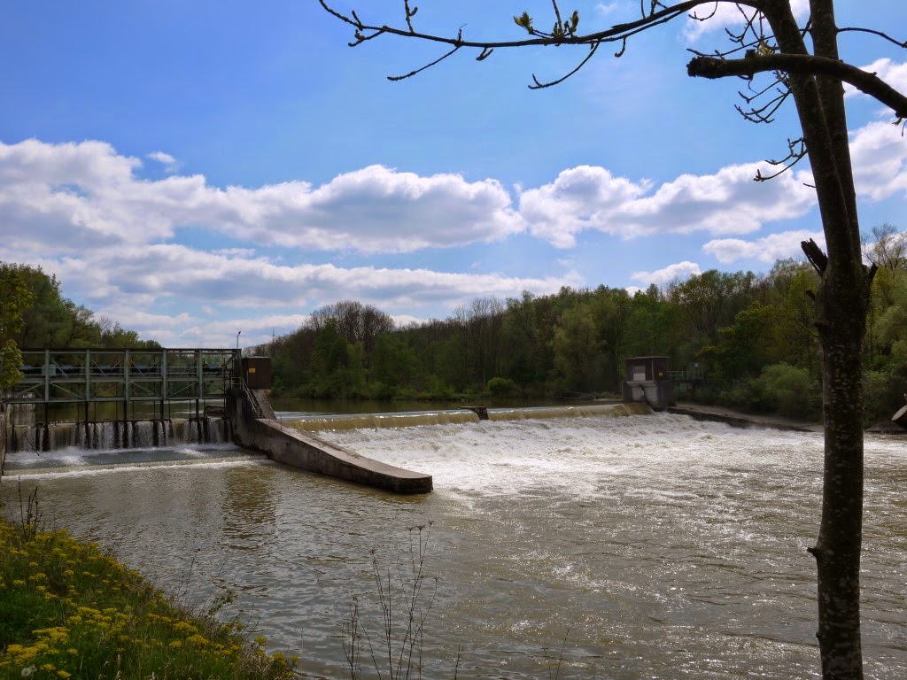 Bellana privat: Iller