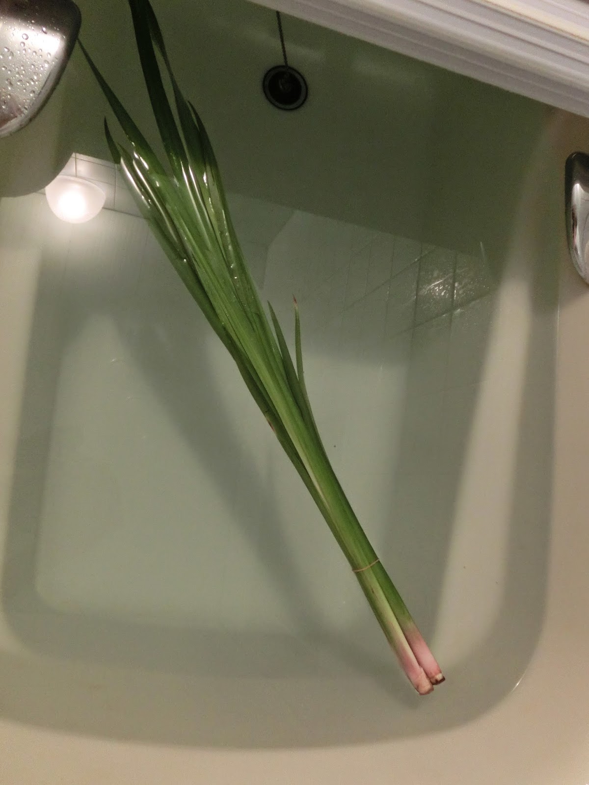 See my Japan : Japanese traditional culture Syoubu yu 菖蒲湯 （しょうぶゆ）