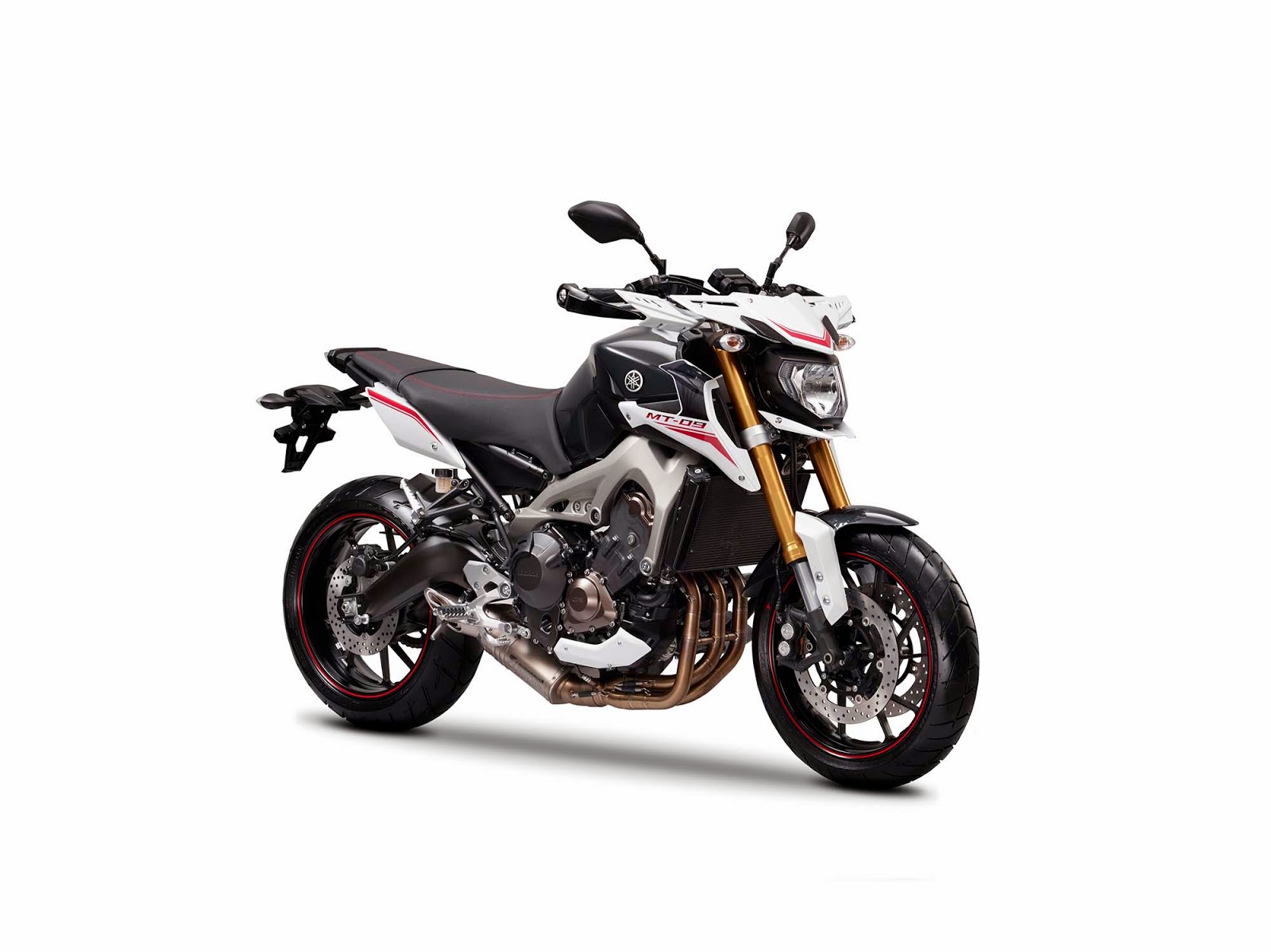 The more ferocious Yamaha MT-09 Road Rally 2014 - Mycarzilla